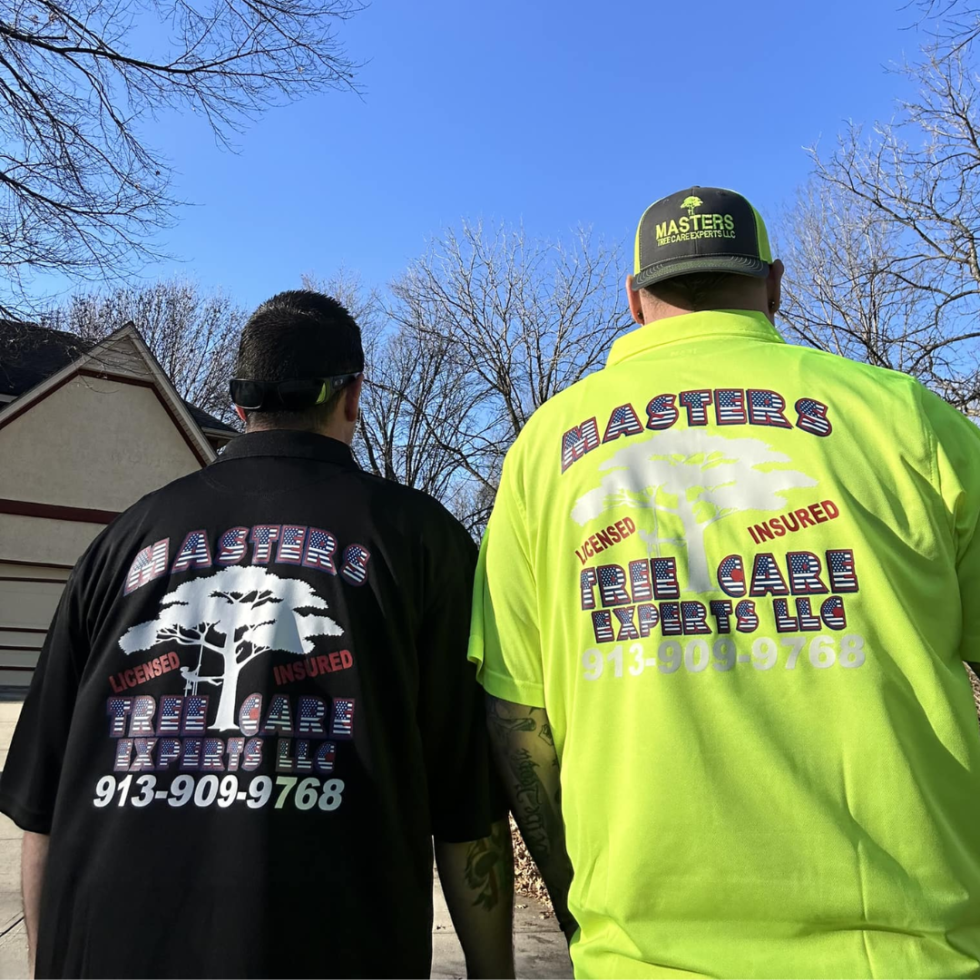 Tree Services In Overland Park, KS | Masters Tree Care Experts